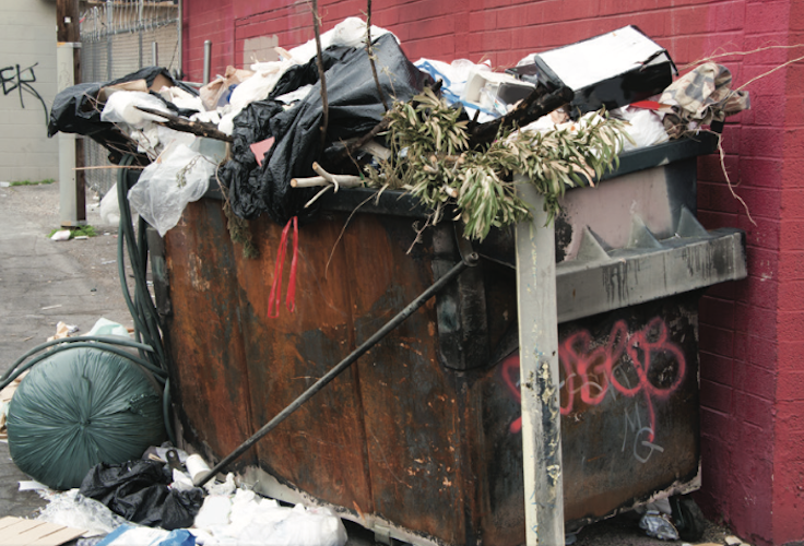 Pest Control - Available Termite and Pest Control